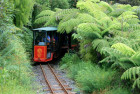 Driving Creek Railway, Potteries & Coromandel Zipline Tours