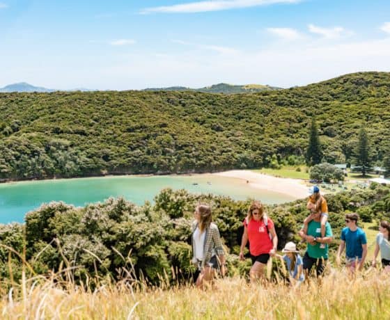 Otehei Bay Ferry service to Urupukapuka Island Explore NZ