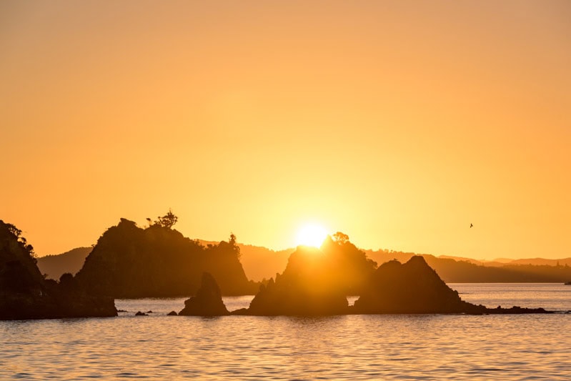 Otehei Bay Ferry service to Urupukapuka Island Explore NZ