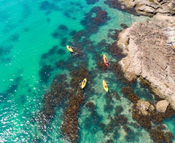 Otehei Bay Ferry service to Urupukapuka Island Explore NZ