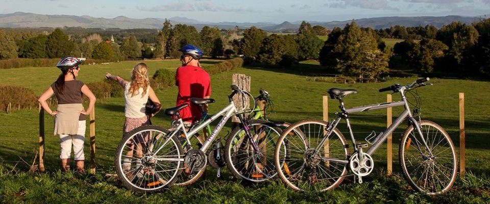 Twin Coast Cycle Trail - Bike Hire & Tours Bay of Islands
