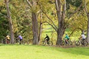 Twin Coast Cycle Trail - Top Trail bike Hire Bay of Islands
