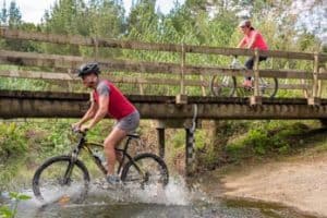 Twin Coast Cycle Trail - Top Trail bike Hire Bay of Islands