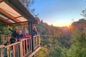 Rotorua Zipline Canopy Adventure Eco Forest Tours
