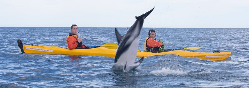 Best Places to kayak in New Zealand's North & South Islands