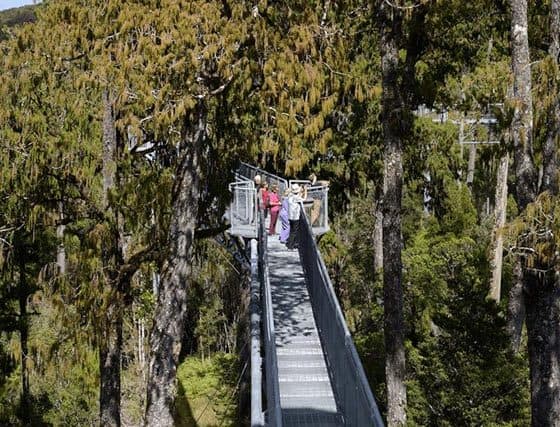 West Coast Treetop Walkway & Cafe Hokitika, South Island