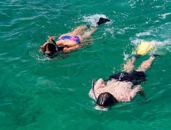 Day Sailing Charters Bay of Islands with Barefoot Sailing