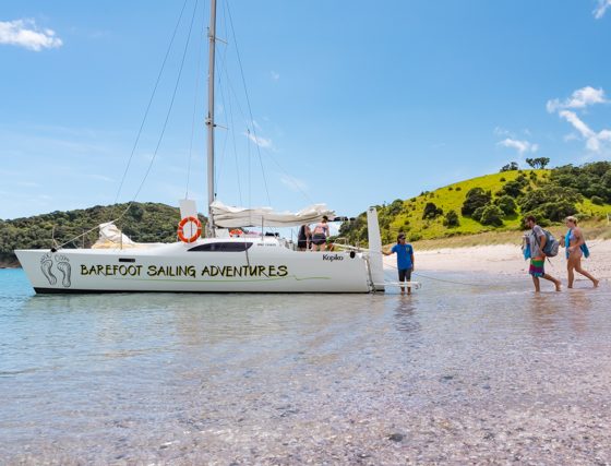 Day Sailing Charters Bay of Islands with Barefoot Sailing