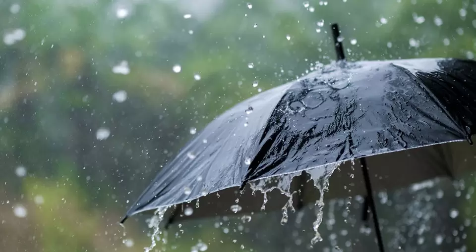 Things to do on a rainy day in the Bay of Islands