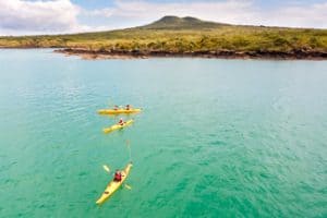 Auckland Sea Kayak Tours on Auckland's harbour to Rangitoto