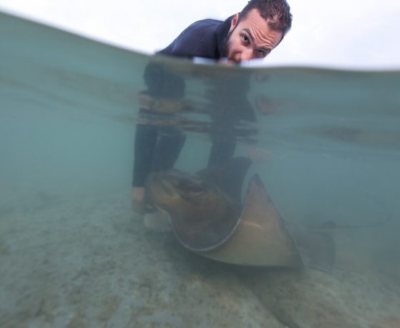 Stingray Tours at Tatapouri Bay, a Gisborne Attraction