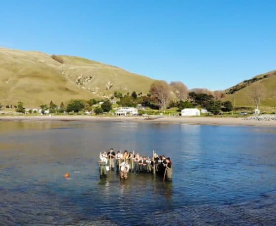 Stingray Tours at Tatapouri Bay, a Gisborne Attraction