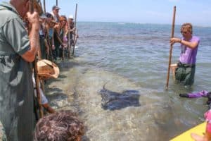 Stingray Tours at Tatapouri Bay, a Gisborne Attraction