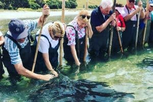 Stingray Tours at Tatapouri Bay, a Gisborne Attraction