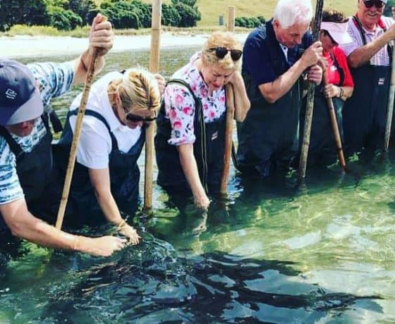Stingray Tours at Tatapouri Bay, a Gisborne Attraction