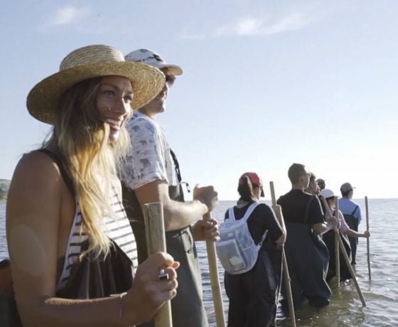 Stingray Tours at Tatapouri Bay, a Gisborne Attraction
