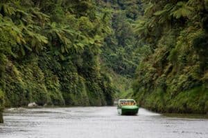 Forgotten World Adventures Rail Cart Tours Taumarunui