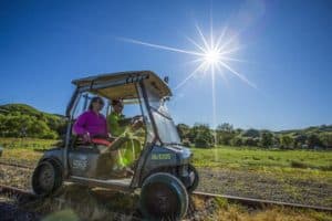 Forgotten World Adventures Rail Cart Tours Taumarunui