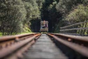 Forgotten World Adventures Rail Cart Tours Taumarunui