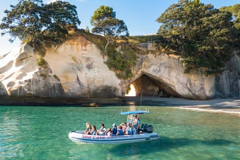 Best Things to Do in the Coromandel – Tours & Free Activities