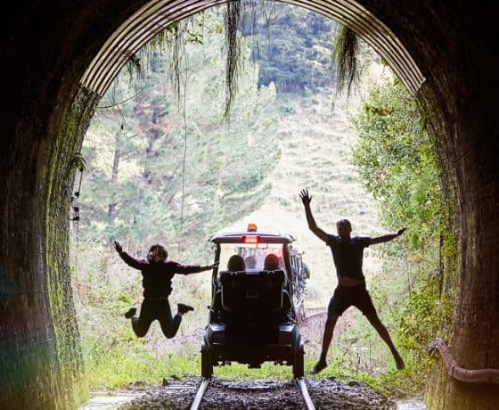 Forgotten World Adventures Rail Cart Tours Taumarunui