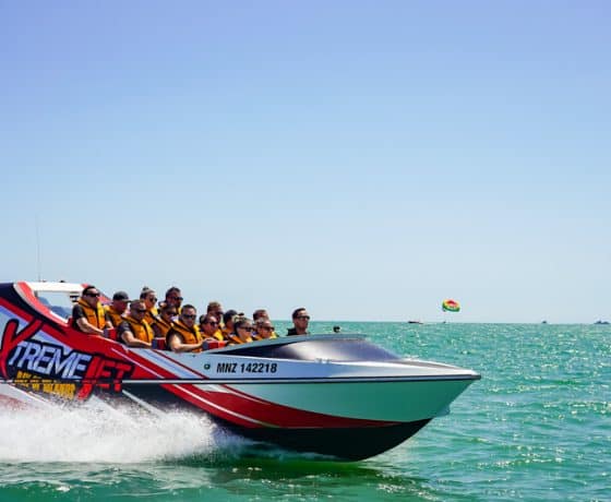 Extreme Jet Boat Bay of Islands Experience 30 minutes fast boat