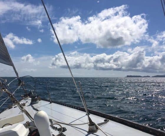 Phantom Sailing Charters - Day Sailing in Bay of Islands