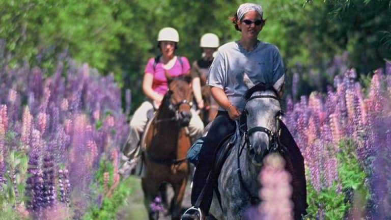 Glenorchy Horse Riding Treks | Rees Valley NZ
