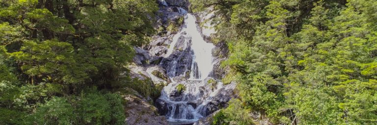 Explore Haast: Waterfalls, Wildlife & West Coast Adventures