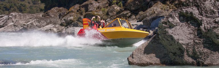 Explore Haast: Waterfalls, Wildlife & West Coast Adventures