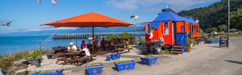 Explore Haast: Waterfalls, Wildlife & West Coast Adventures