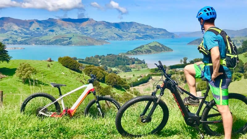 Explore Akaroa: Boat Trips, Nature Tours, & Scenic Walks
